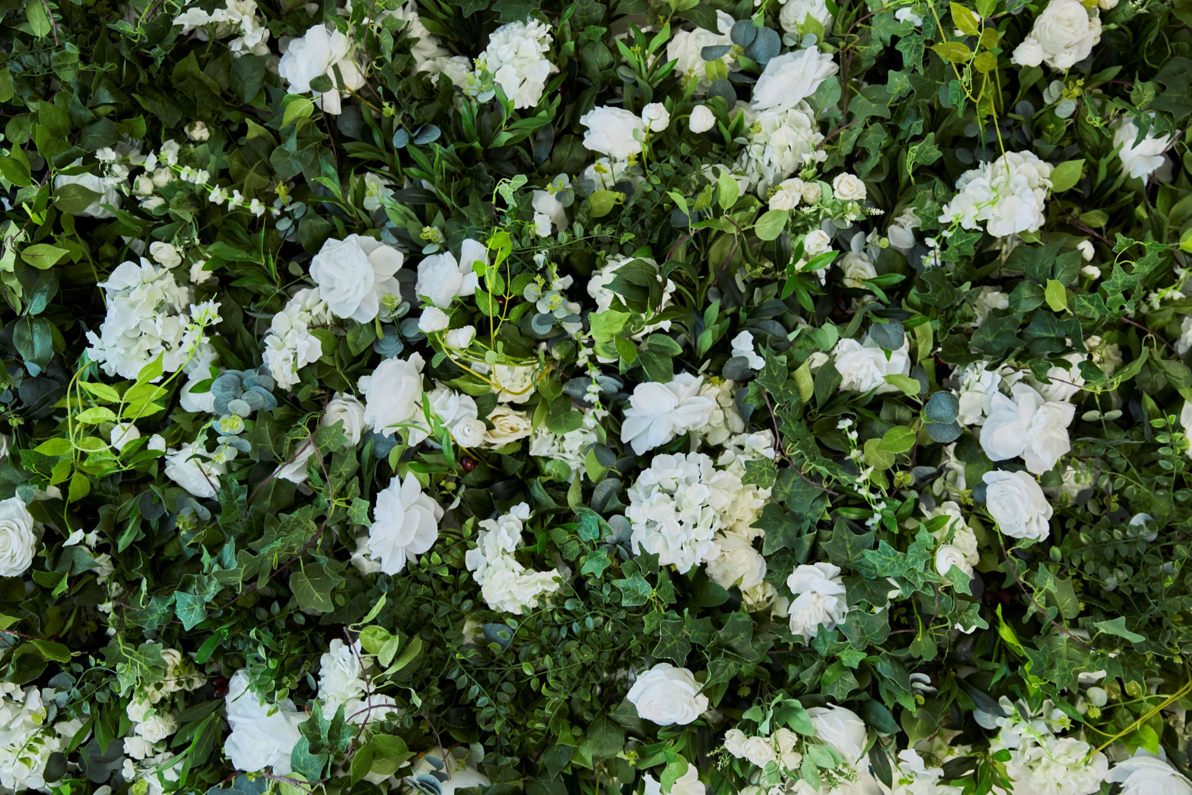 Shop All – Hadiqa London